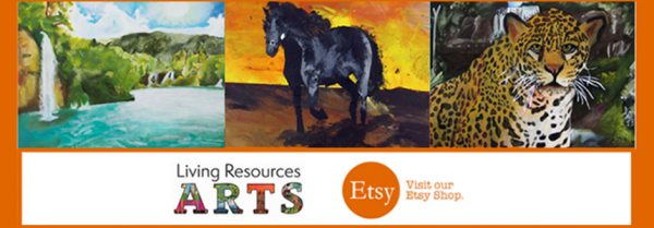 Traumatic & Developmental Disability Services of the Capital Region ...